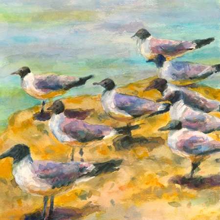 Sea Birds Watercolor II by artist Fagan, Edie – Image, prints | Mojarto