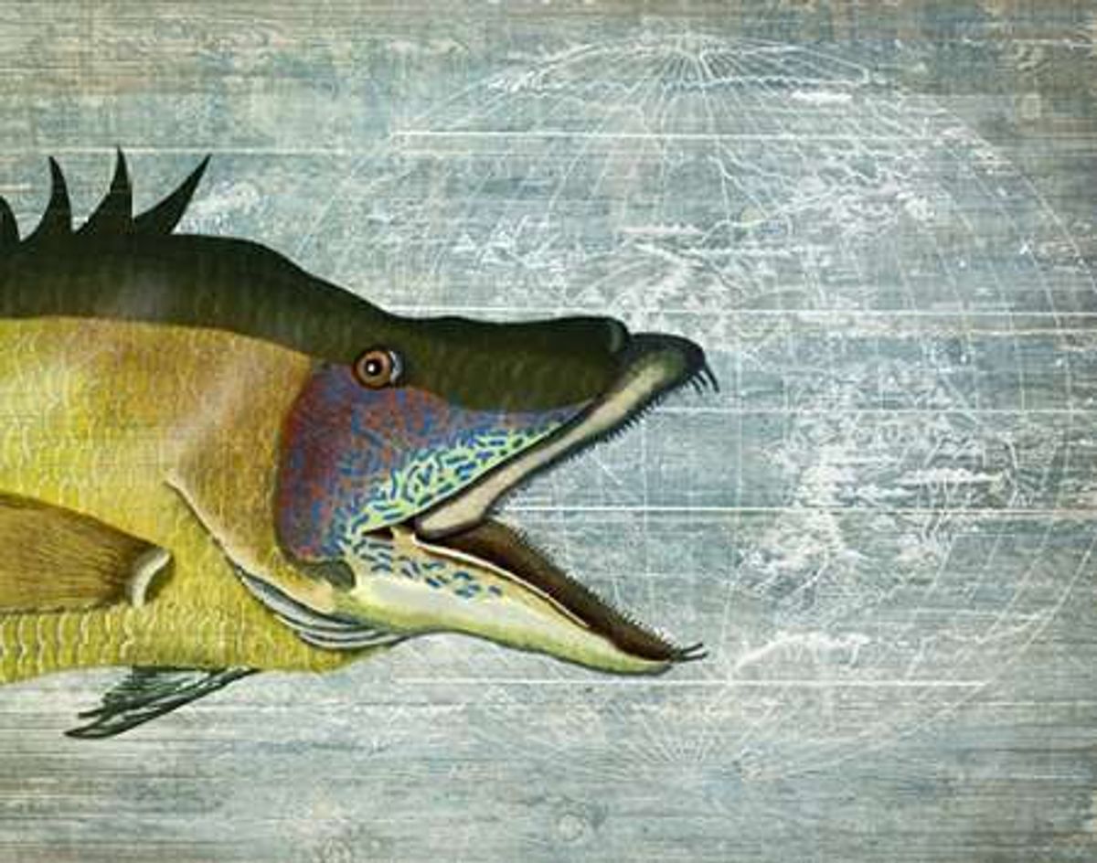 Hog Fish print on nautical map image by Fab Funky Online | Mojarto