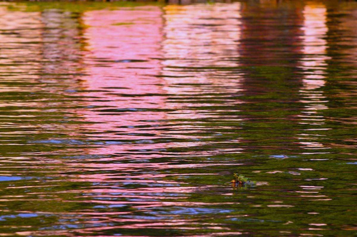 Waterline 10 by artist Saba Hasan – Image, Photography | Mojarto