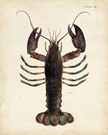 Vintage Lobster by artist Dekay – Image, prints | Mojarto