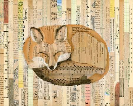 Red Fox Collage III by artist Galapon, Nikki – Image, prints | Mojarto