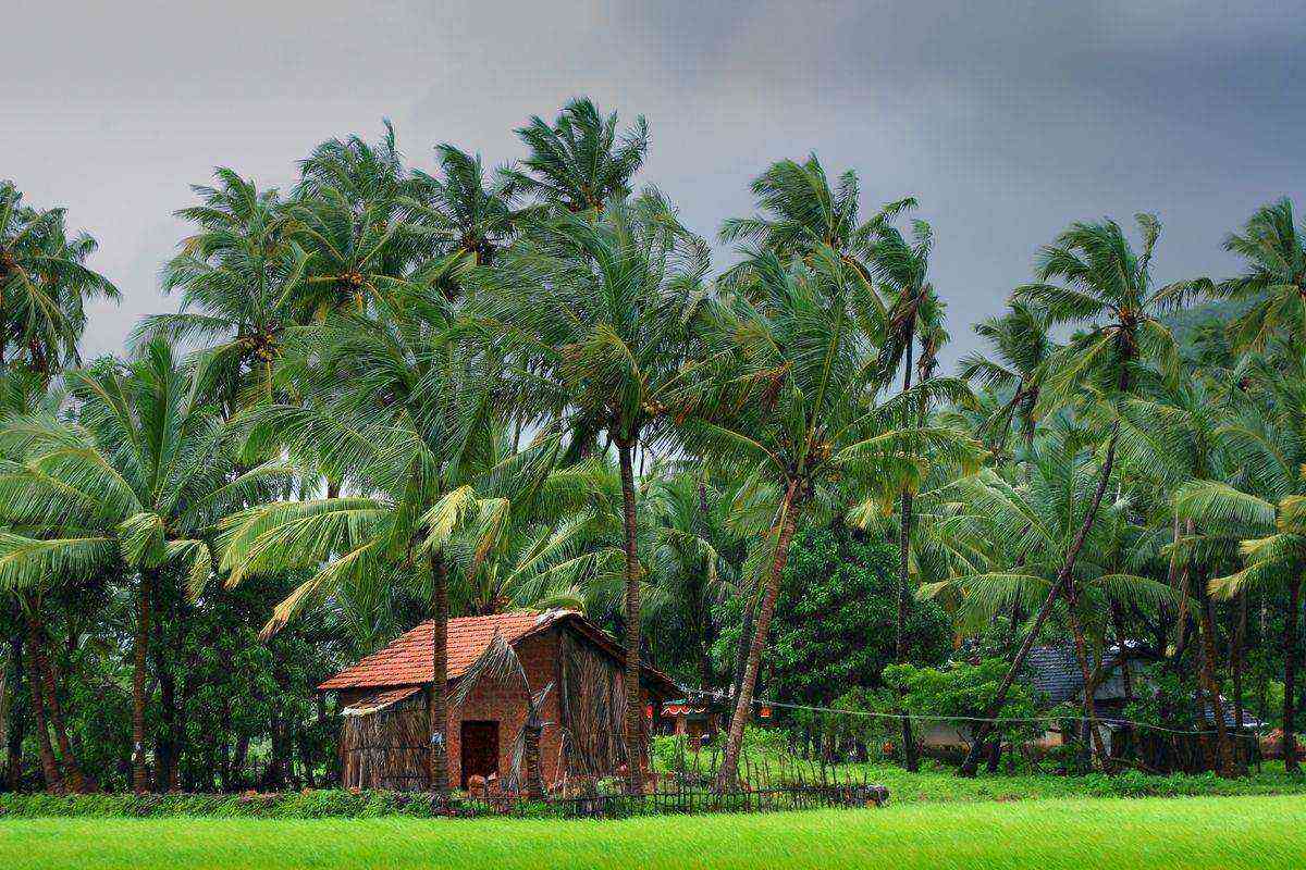 Village Scene by artist ramnath – Image, Photography | Mojarto