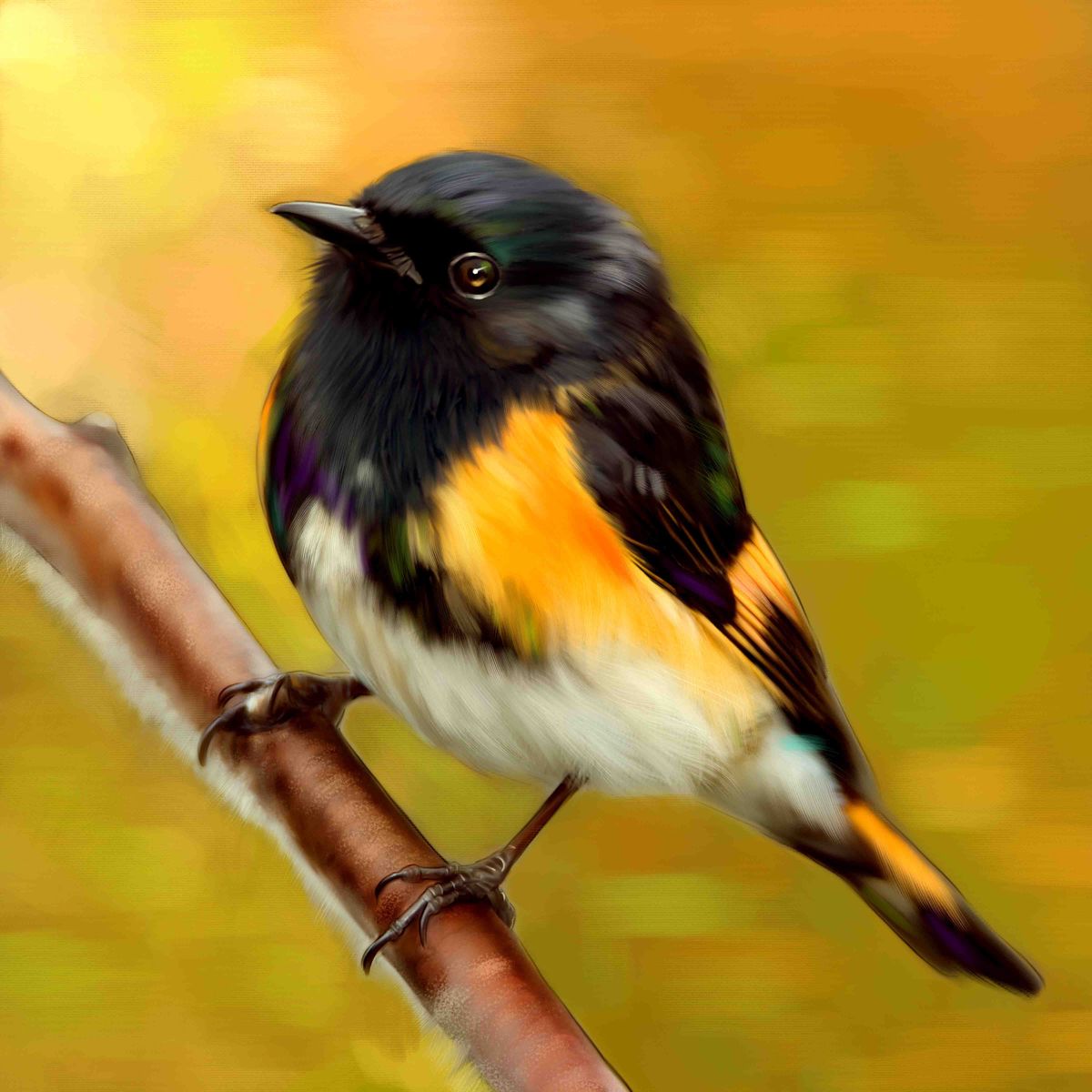 BIRD-27 by The Print Studio Online | Mojarto