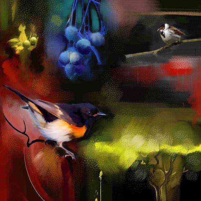 BIRDS-36 by The Print Studio Online | Mojarto