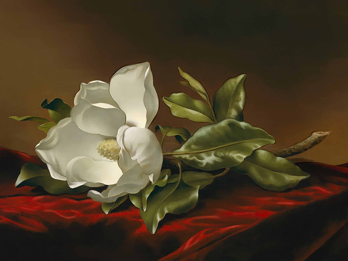 Still Life with Flowers - 48 by The Print Studio Online | Mojarto