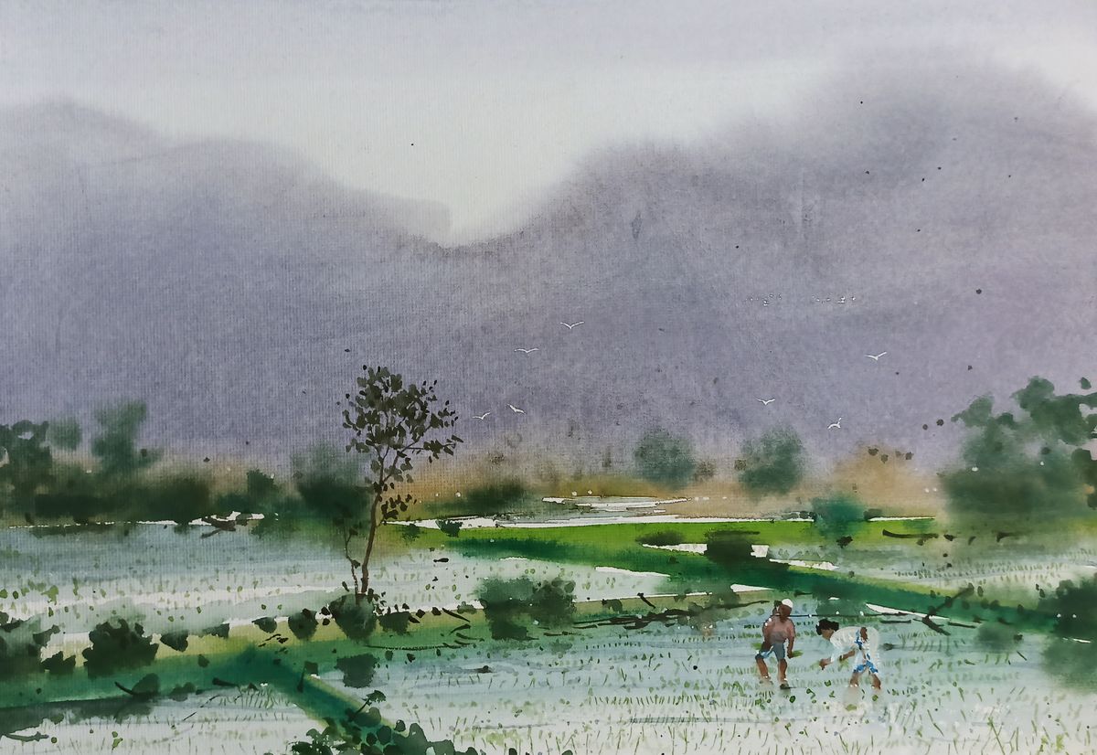 Rice farm by Fareed Ahmed Online | Mojarto